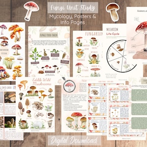 Fungi Unit Study Montessori Aligned Learning Pack - Etsy