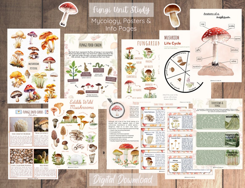 Fungi Unit Study Montessori Aligned Learning Pack - Etsy