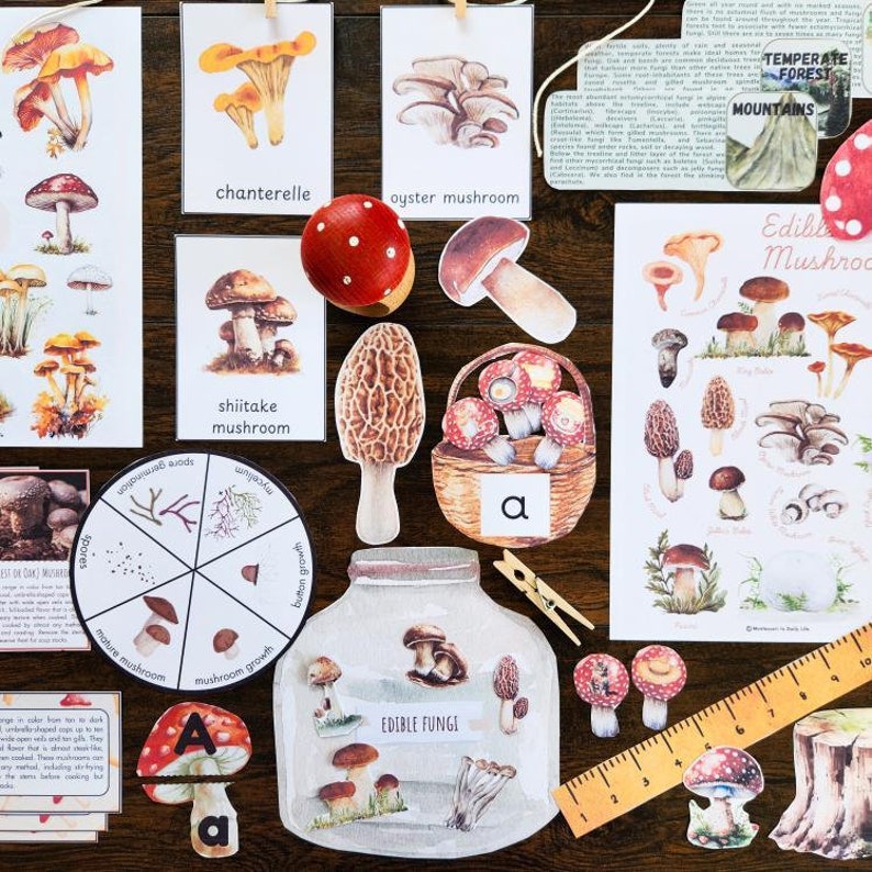 Fungi Unit Study Montessori Aligned Learning Pack - Etsy