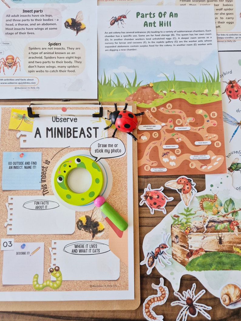 Marvelous Minibeasts Montessori Inspired Unit Study FREE Alphabet Cards ...