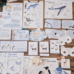 Polar Adventures Unit Study - Arctic and Antarctica Studies - Etsy