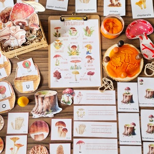 Fungi Unit Study Montessori Aligned Learning Pack - Etsy