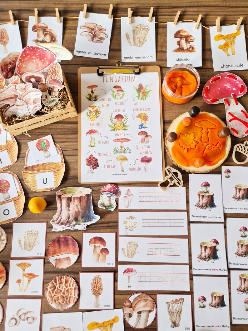 Fungi Unit Study Montessori Aligned Learning Pack - Etsy