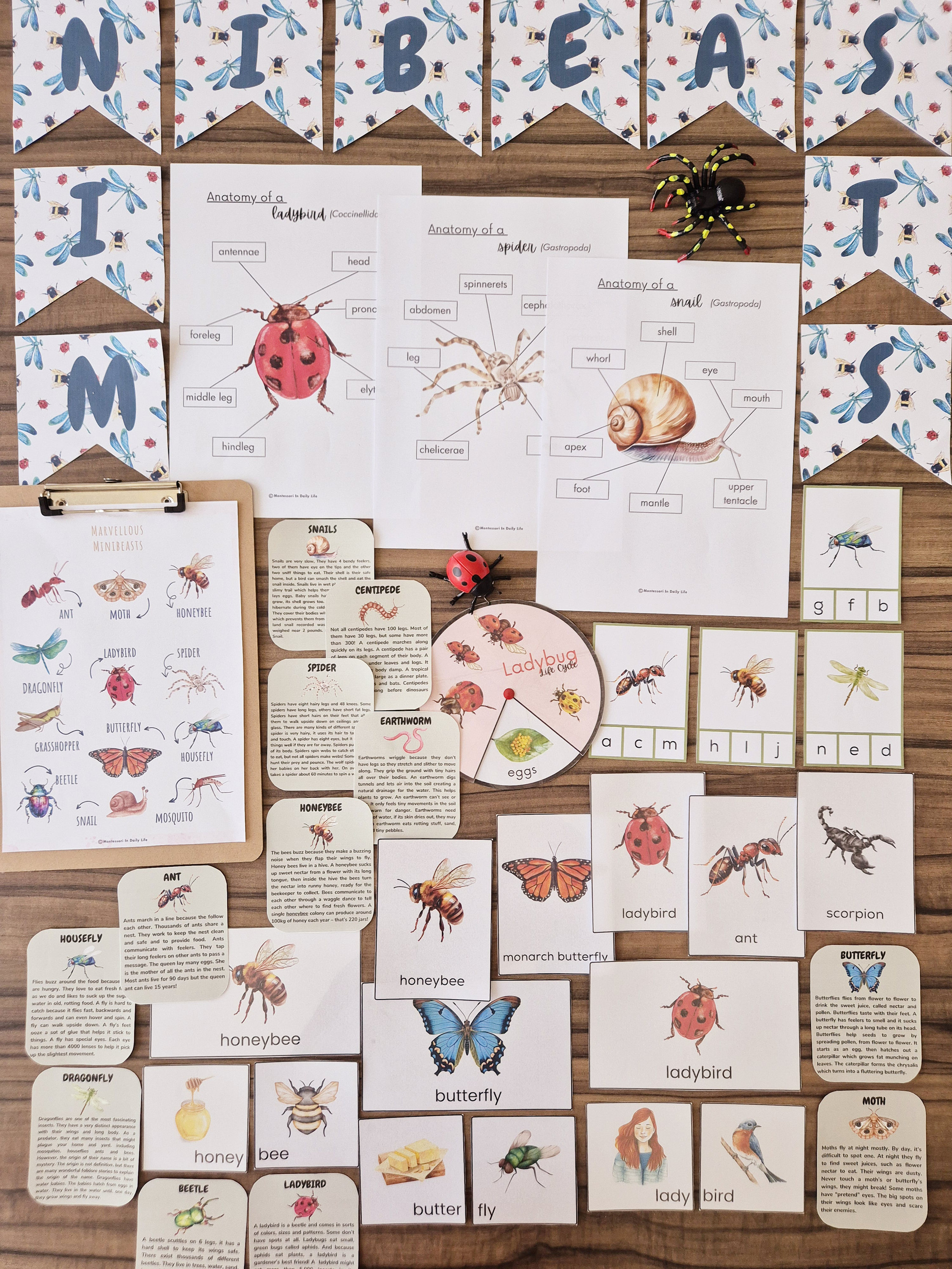 Marvelous Minibeasts Montessori Inspired Unit Study FREE Alphabet Cards ...