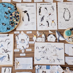 Polar Adventures Unit Study - Arctic and Antarctica Studies - Etsy