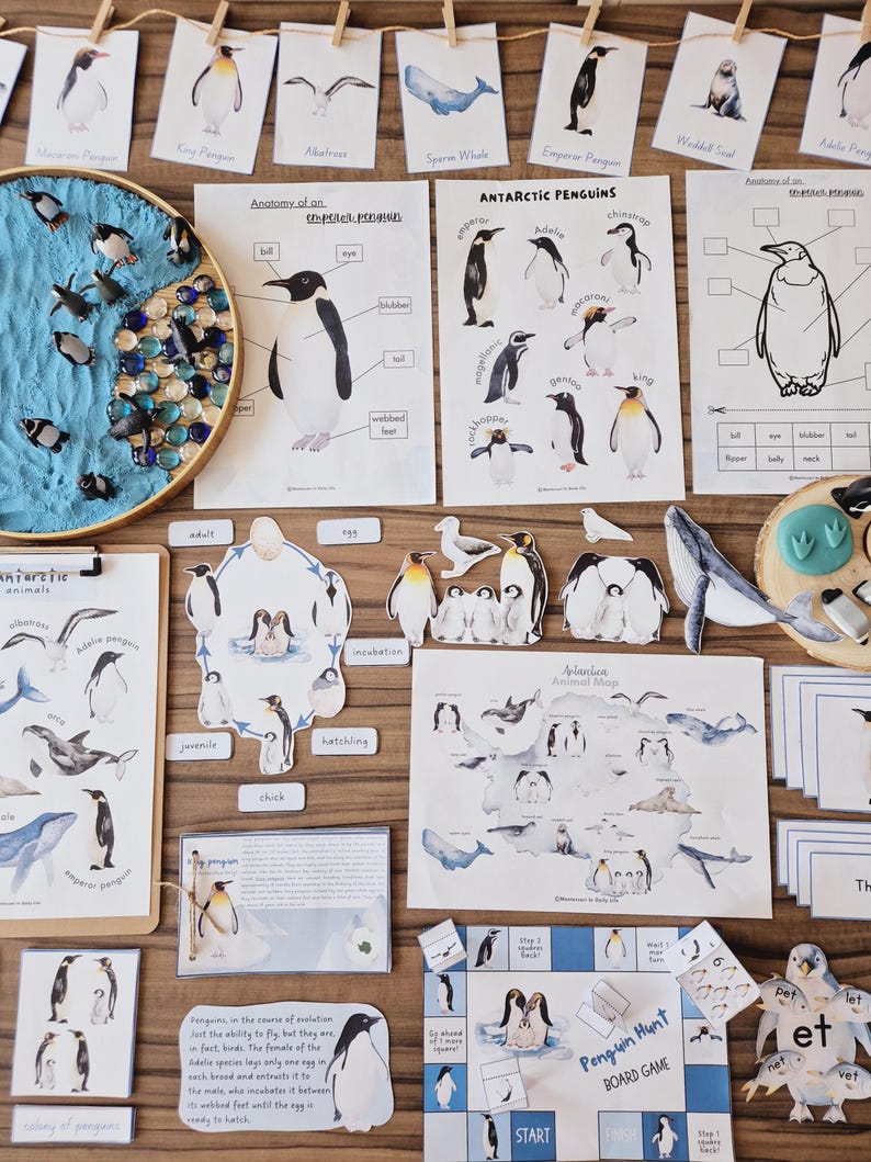 Polar Adventures Unit Study - Etsy