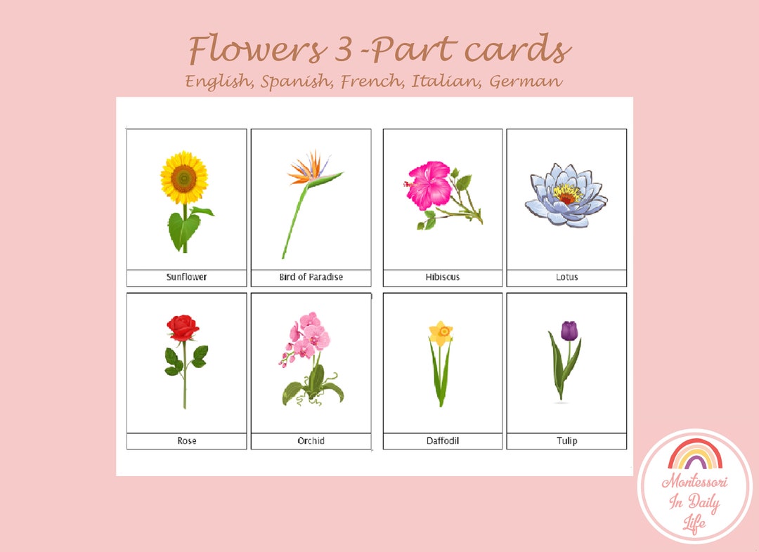 Montessori 3-part Cards Flowers Eng Es Fr It De - Etsy
