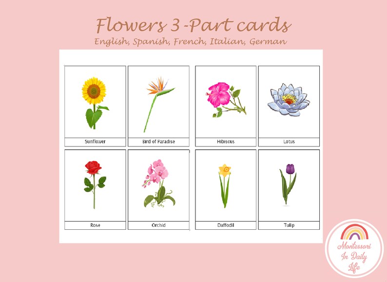 Montessori 3-part Cards - Flowers - Eng, Es, Fr, It, De - Safari Ltd ...