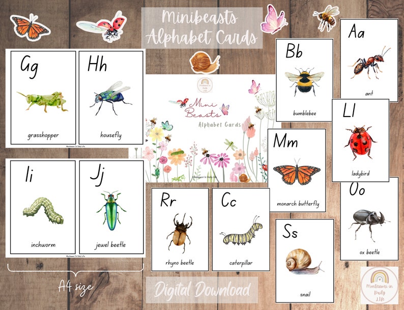 Minibeasts Alphabet Cards + Montessori 3-part Cards 5 Languages Eng, Fr ...