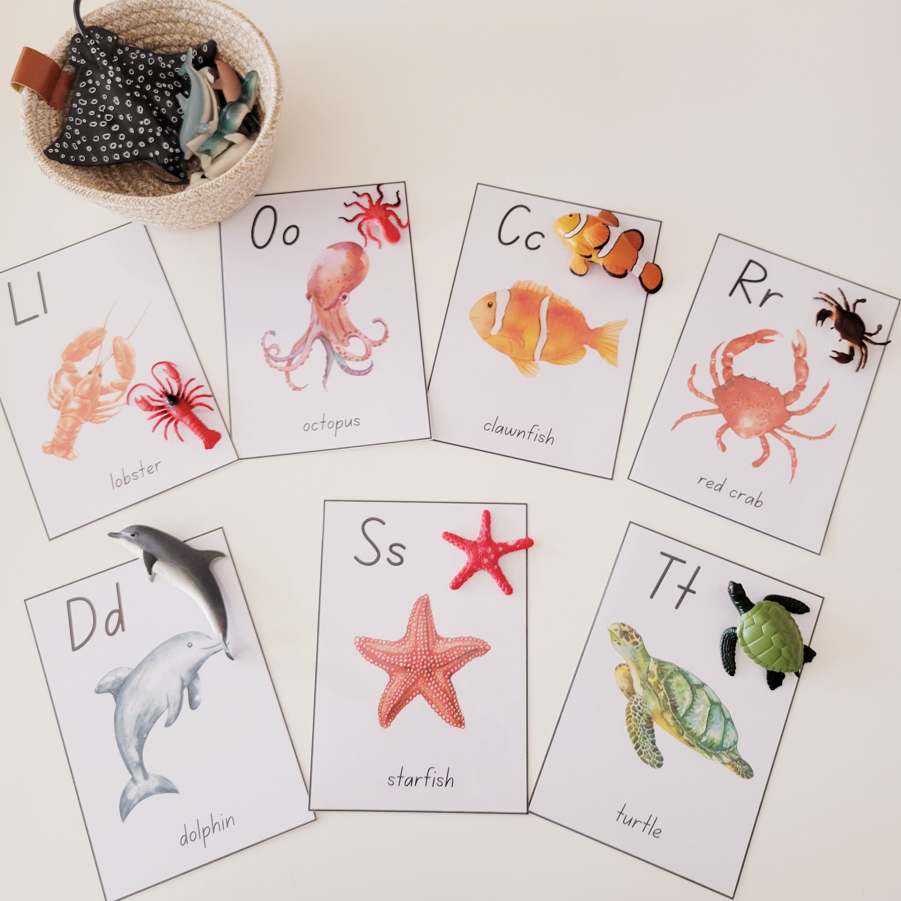 O is for Ocean Learning Pack With FREEBIE Ocean Alphabet Cards - Etsy