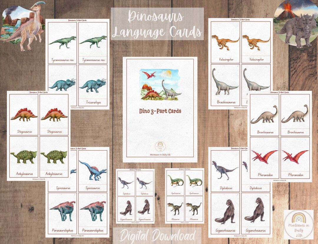 Dinosaurs Language Cards Eng, Es, It, Fr, De - Montessori 3 Part Cards ...