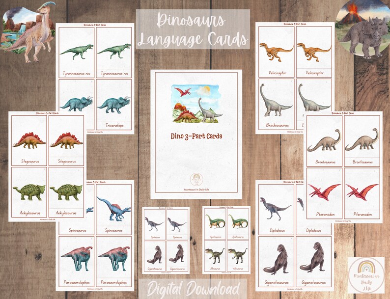 Dinosaurs Language Cards Eng, Es, It, Fr, De - Montessori 3 Part Cards ...