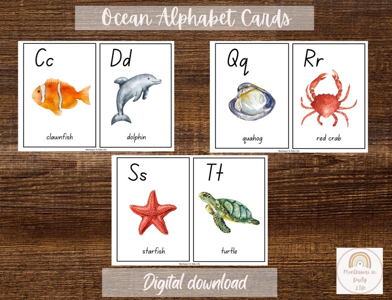 Ocean Animals Alphabet Cards Montessori Language Cards - Etsy