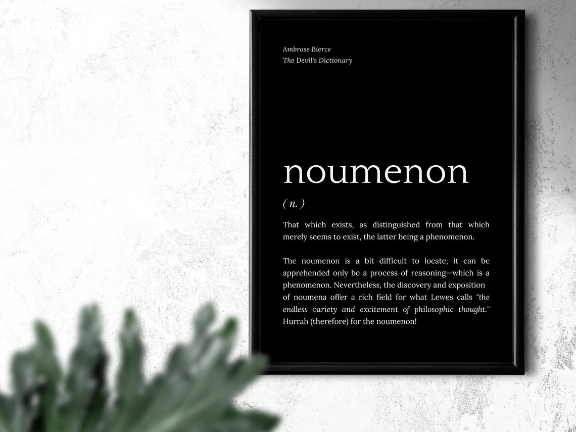 Noumenon Definition Print Funny Posters Dorm - Etsy México