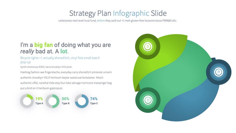 Comprehensive Strategy Plan Powerpoint Infographics | Perfect for ...
