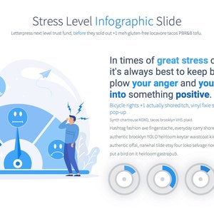 Stress Level Powerpoint Presentation Template | Comprehensive Emotional ...