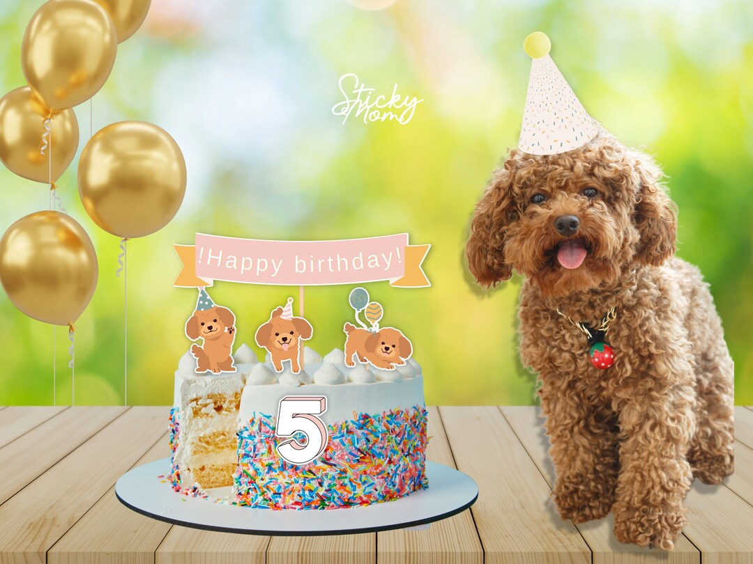 Poodle Happy Birthday Decoration Cake Topper Brown Puppy Dog Party Set ...