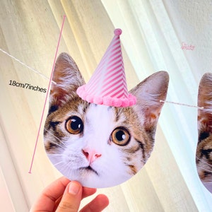 Cat Face Confetti, Cat Confetti, Personalized Cat Birthday Decorations ...