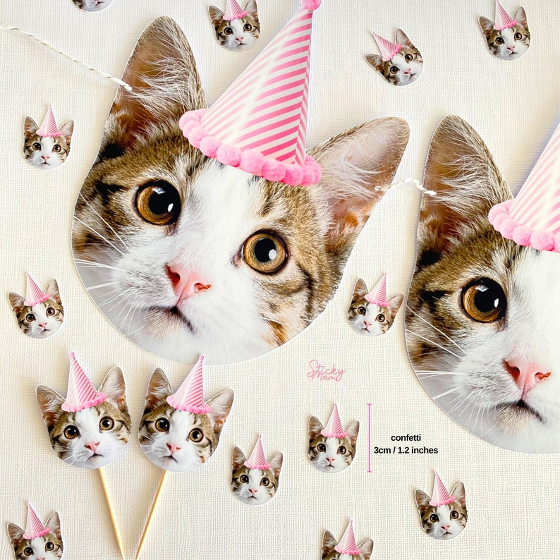 Cat Face Confetti, Cat Confetti, Personalized Cat Birthday Decorations ...