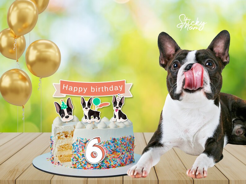 Boston Terrier Cake Topper Dog Decorations Happy Birthday Puppy Party ...