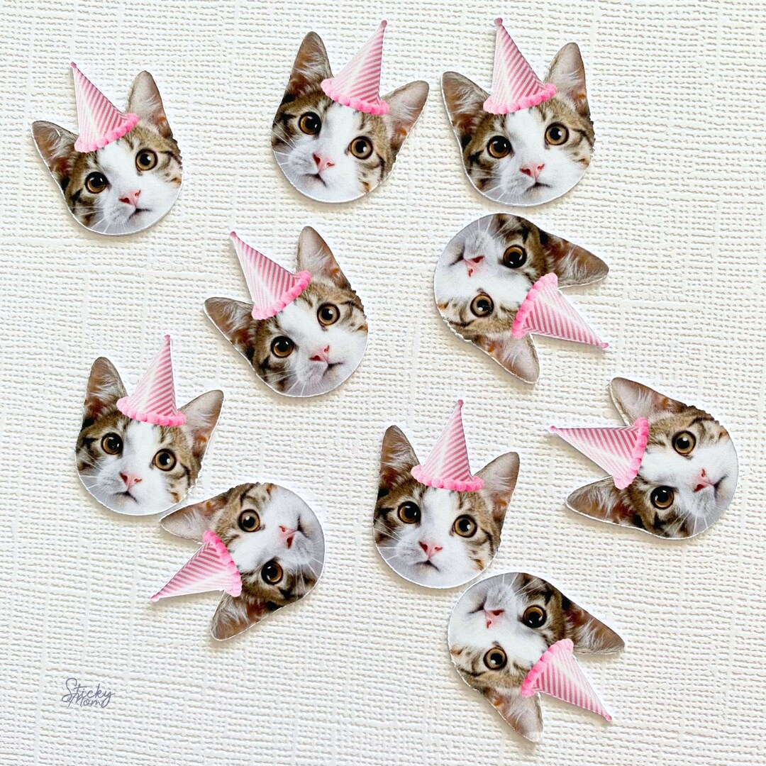 Cat Face Confetti, Cat Confetti, Personalized Cat Birthday Decorations ...