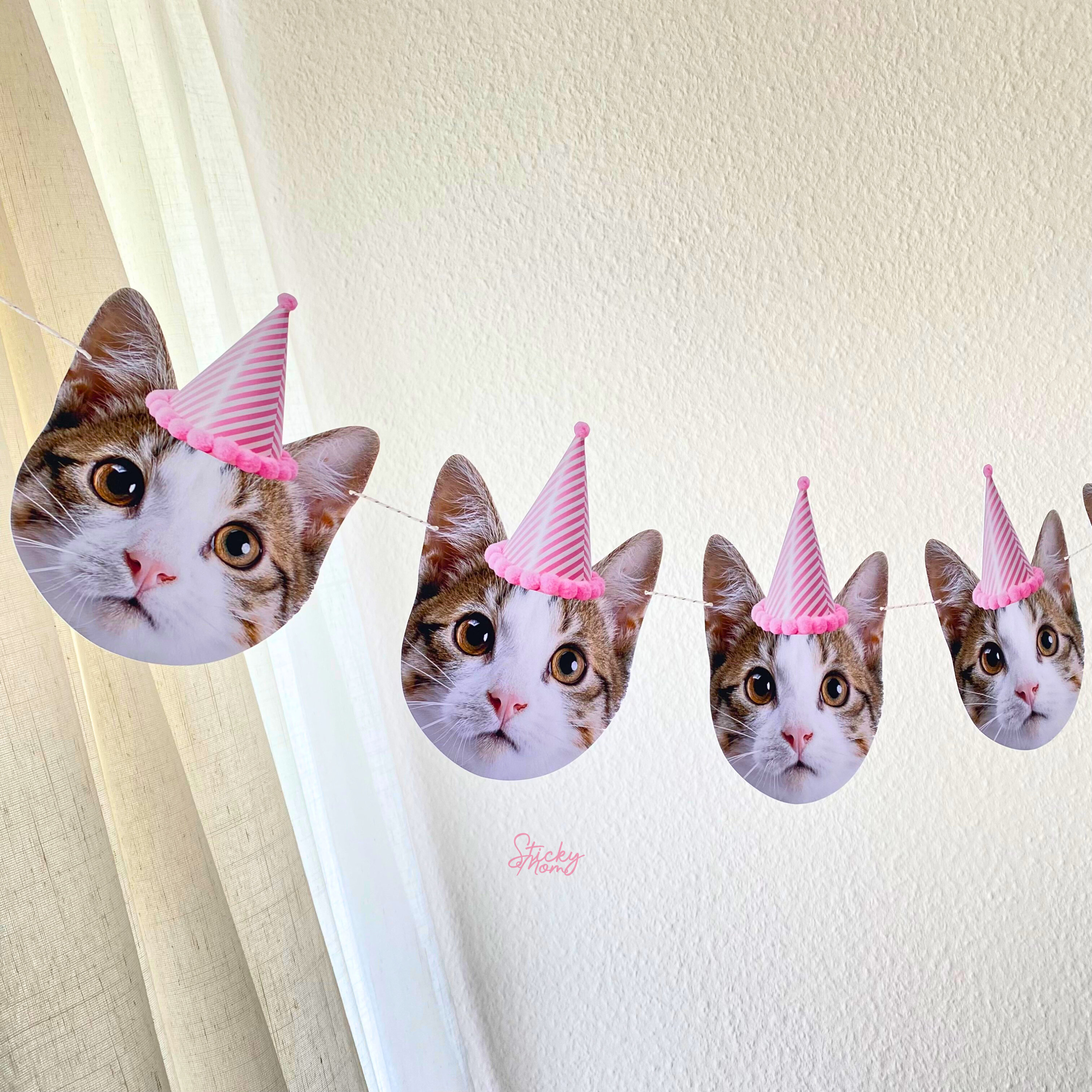 Cat Face Confetti, Cat Confetti, Personalized Cat Birthday Decorations ...