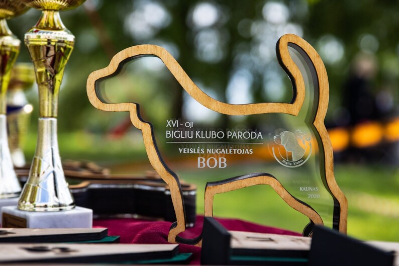 Dog Show Trophies/ Dog Show/ Awards From Dog/ Dog Exhibition/ - Etsy