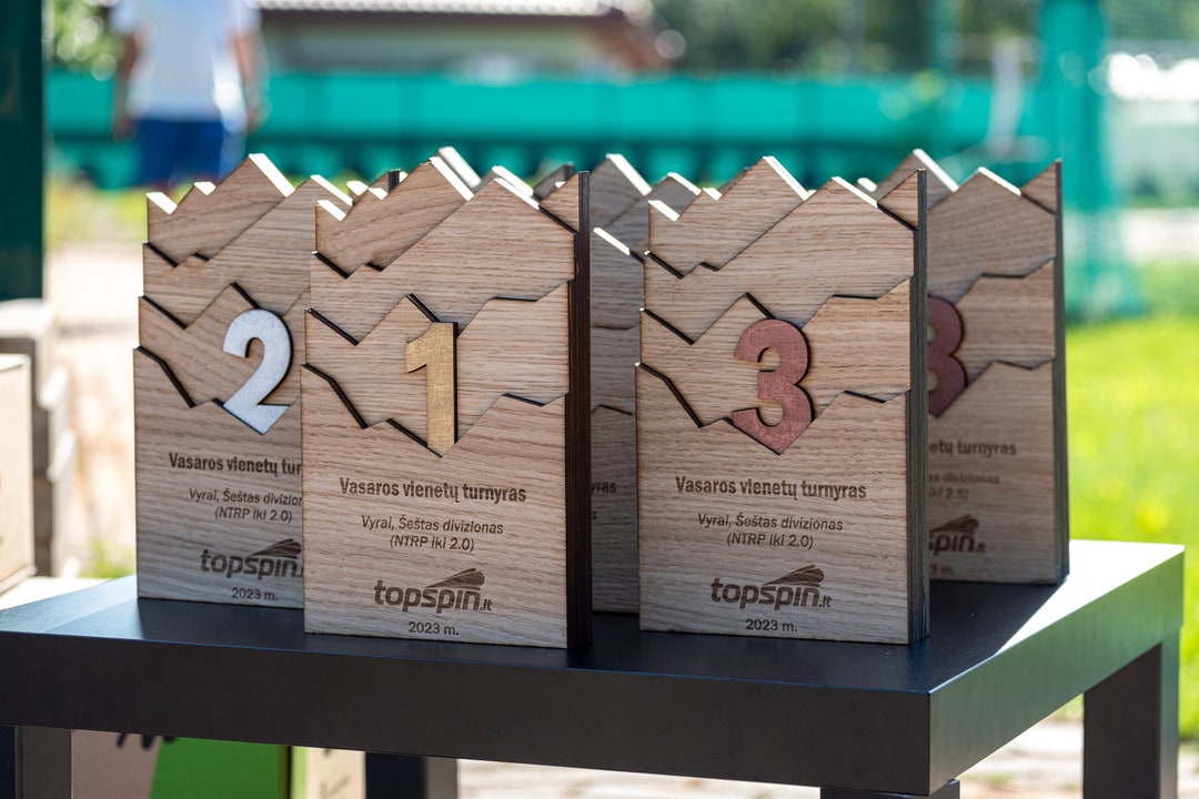 3 Set Trophy/ Modern Oak Trophy/ Personalised Award/ Custom Trophy ...