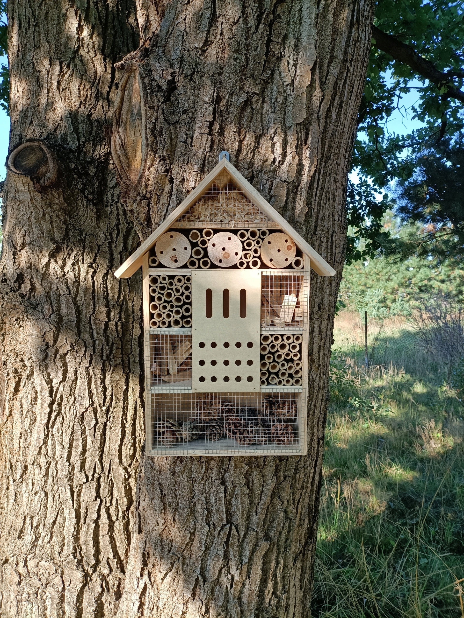Wooden Insect Hotel and Bee House/ Insect Bird Hotel/ Wood Bug Shelter ...