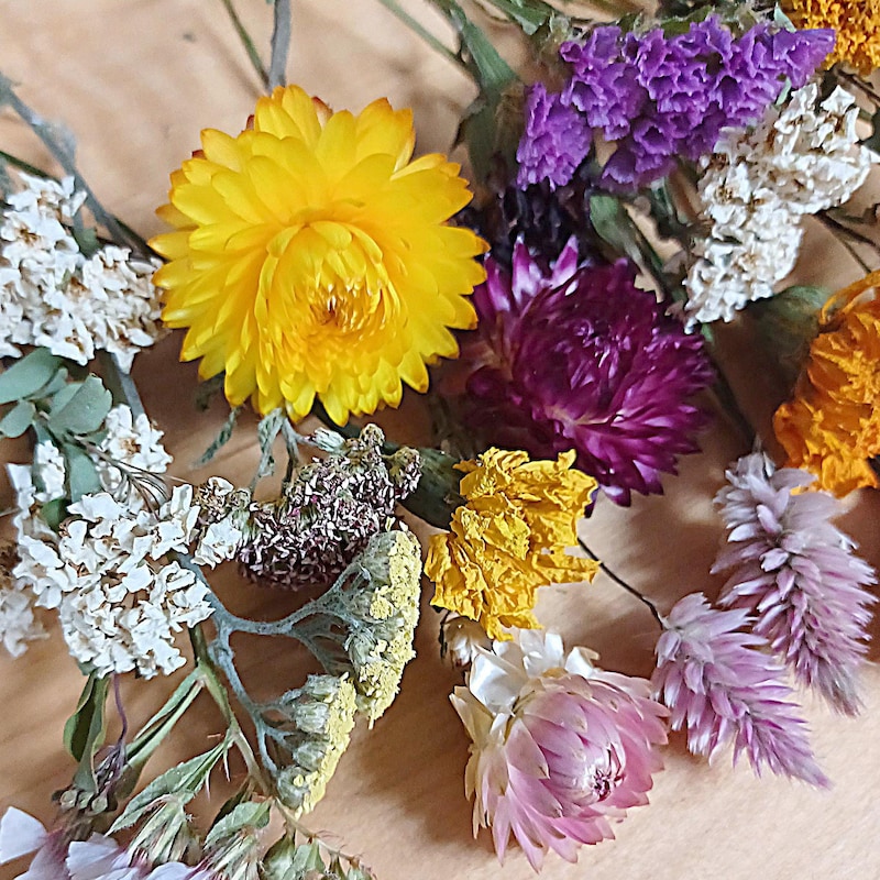 Dried Flowers With Stems - Etsy