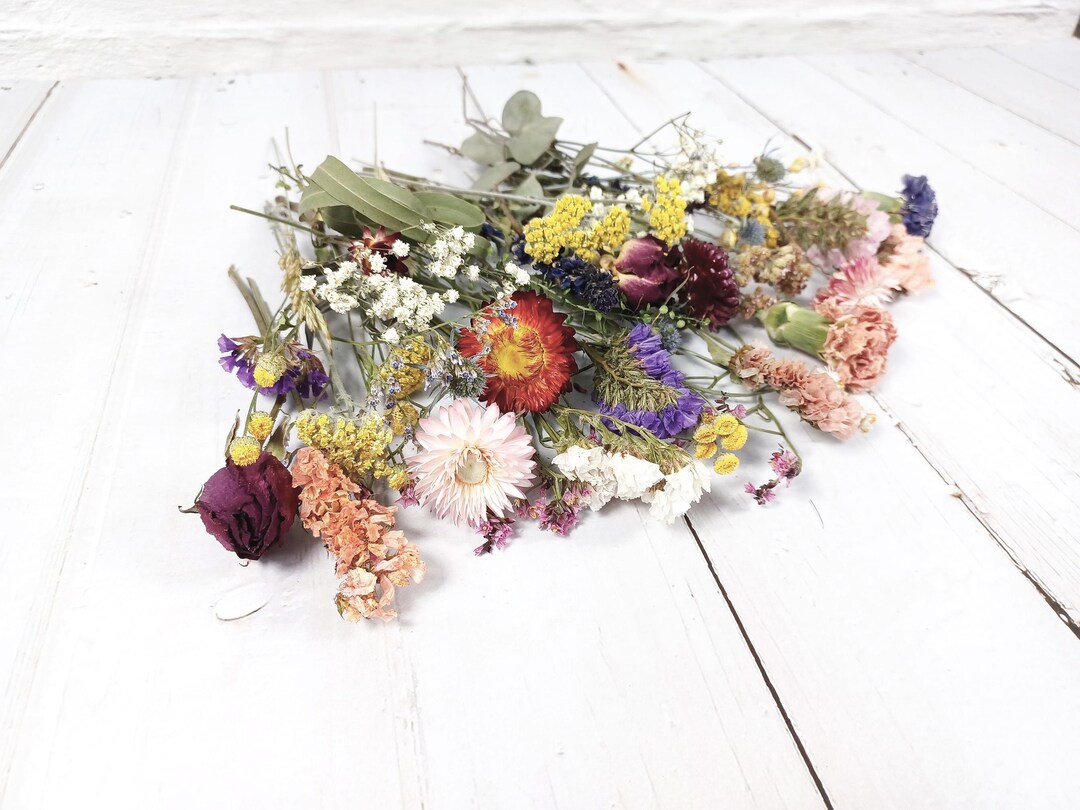 Colorful Dried Flowers, Natural Home Decor, 50 Stems, 3"-6" Tall - Etsy