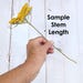 Golden Yarrow Stems: Dried Craft Flowers (10-12" Tall) - Etsy