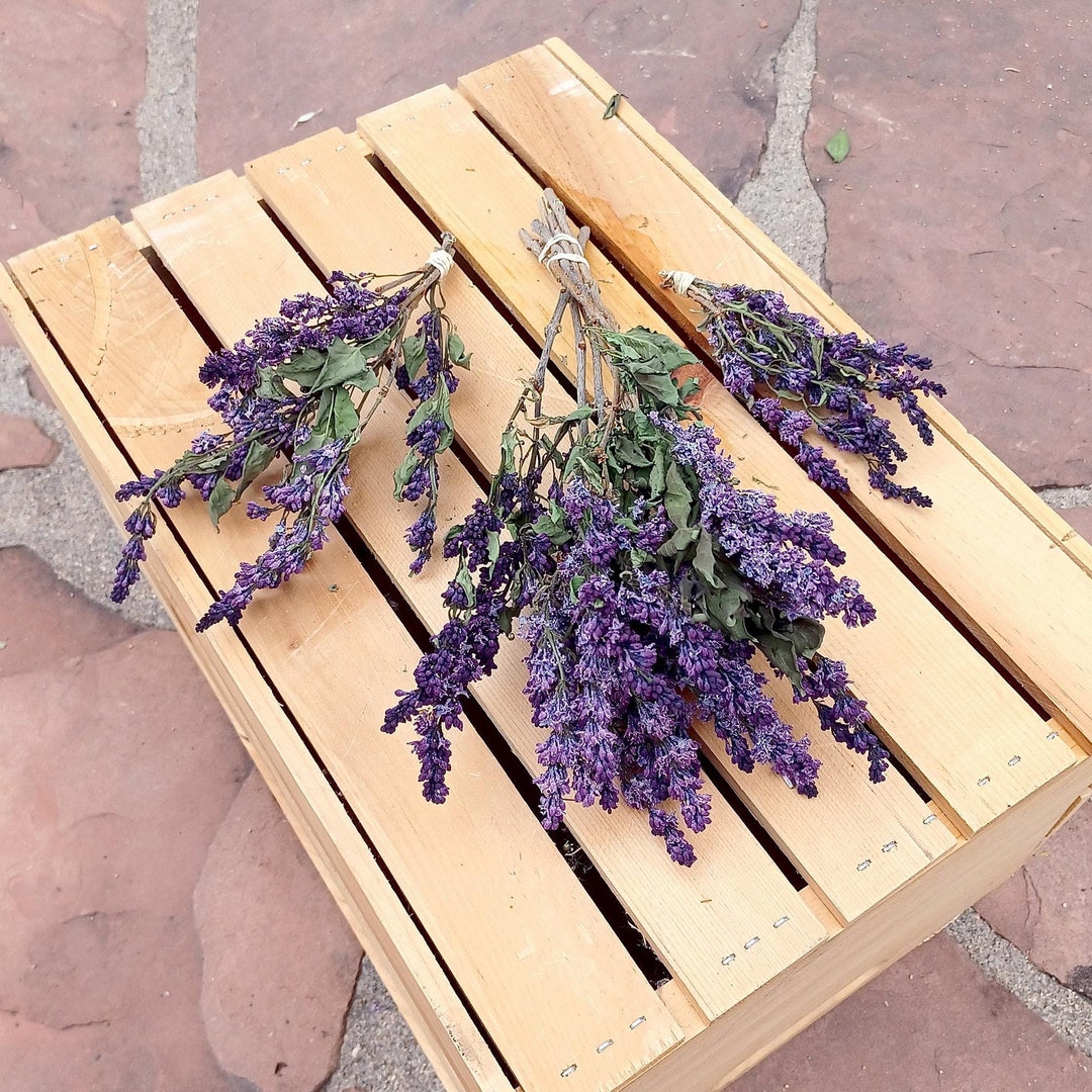 Dried Flowers, Dried Lilac Bunch, Loose Dried Flowers, Dried Flower ...