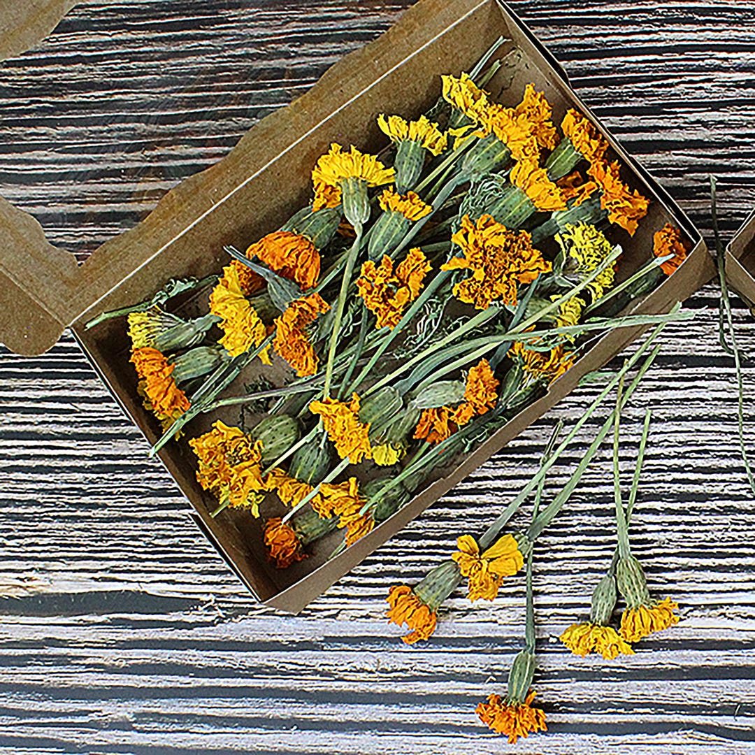 Dried Marigolds, Dry Flowers, Craft Stems - Etsy