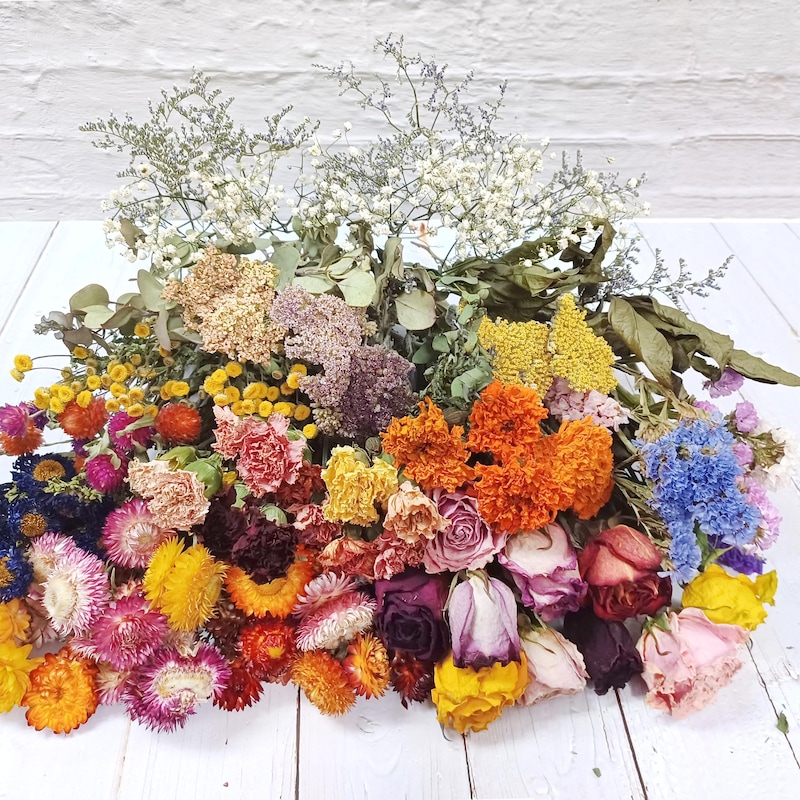 Dried Flowers - Etsy