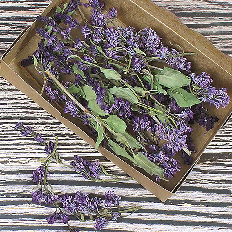 Purple Dried Flower - Etsy