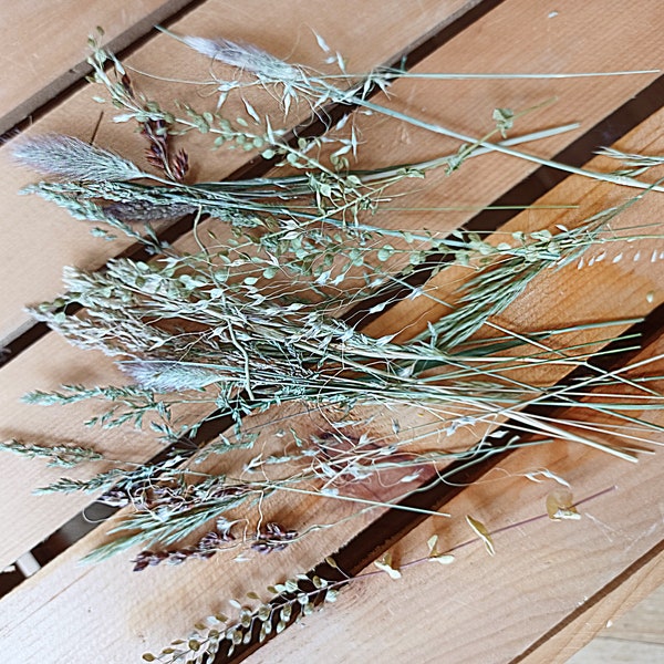 Dried Grass - Etsy