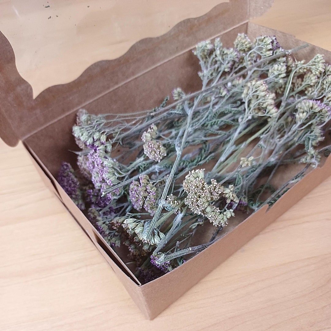 Dried Flowers, Dried Yarrow, Dried Flower Craft Box - Etsy