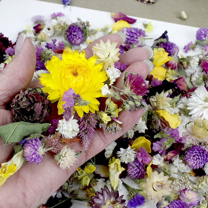Dried Flower Confetti - Etsy