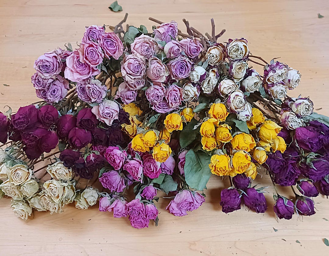Dried Flowers, Dried Mini Roses, Dried Roses - Etsy