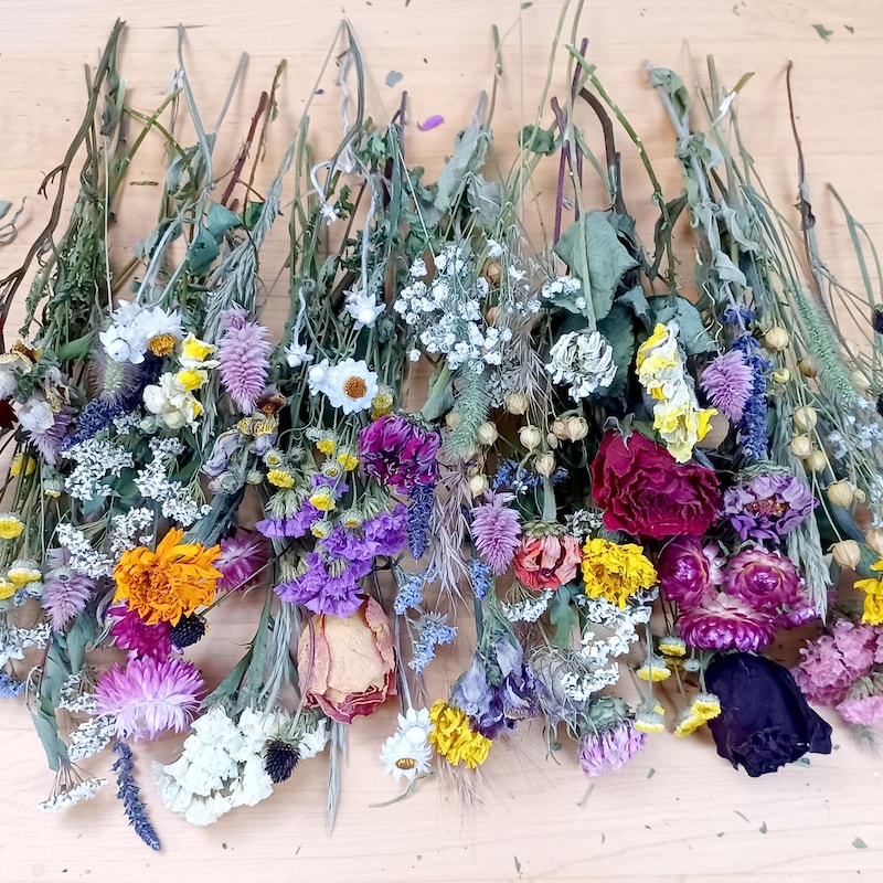 Dried Flowers - Etsy
