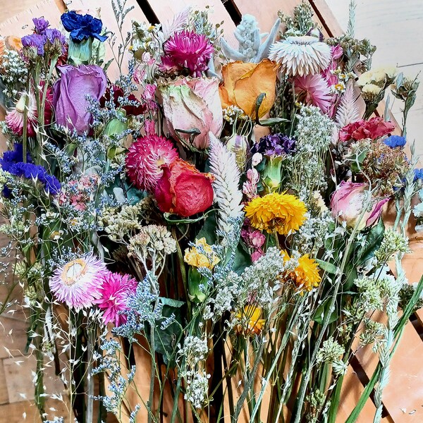Dried Flowers - Etsy