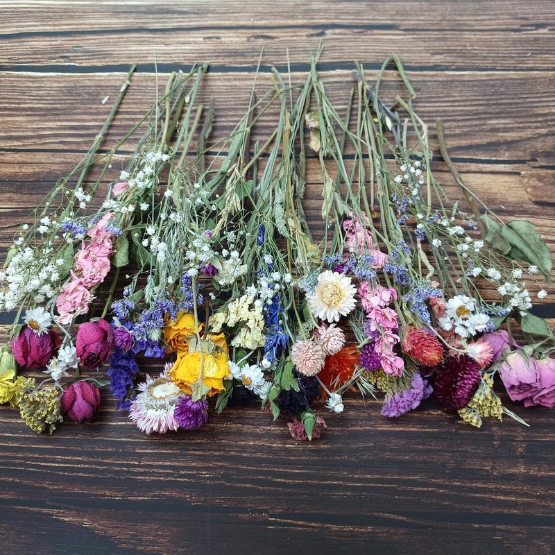 Dry Flowers - Etsy