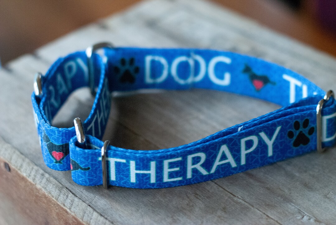 Handmade Martingale Dog Collars | Martingale Collar | Therapy Dog ...