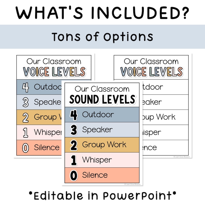 Boho Voice Level Chart & Posters, Voice Level Signs for Class Volume ...