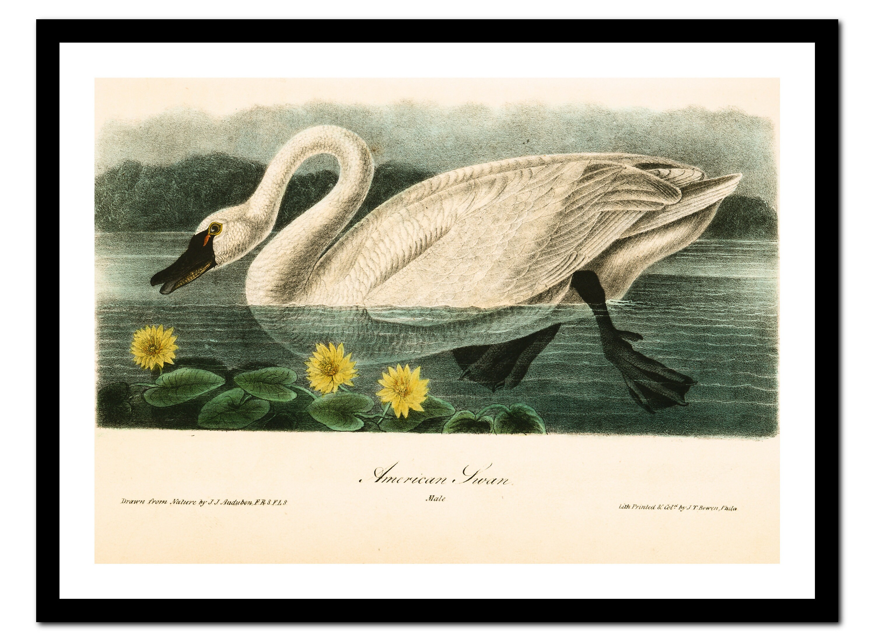 Old Ancient Print A3 Sizes: A5 Vintage Antique Art A4 D-AR 004 ...