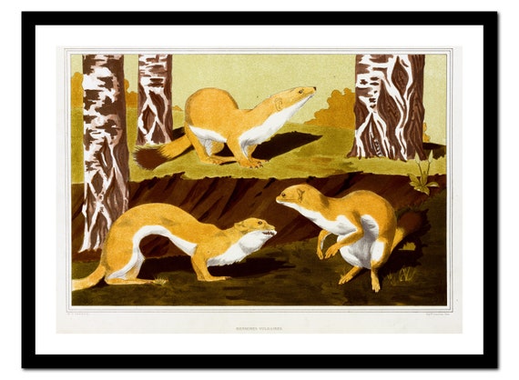 French Animal Paintings Paintings Of Animals In The Best French Rococo