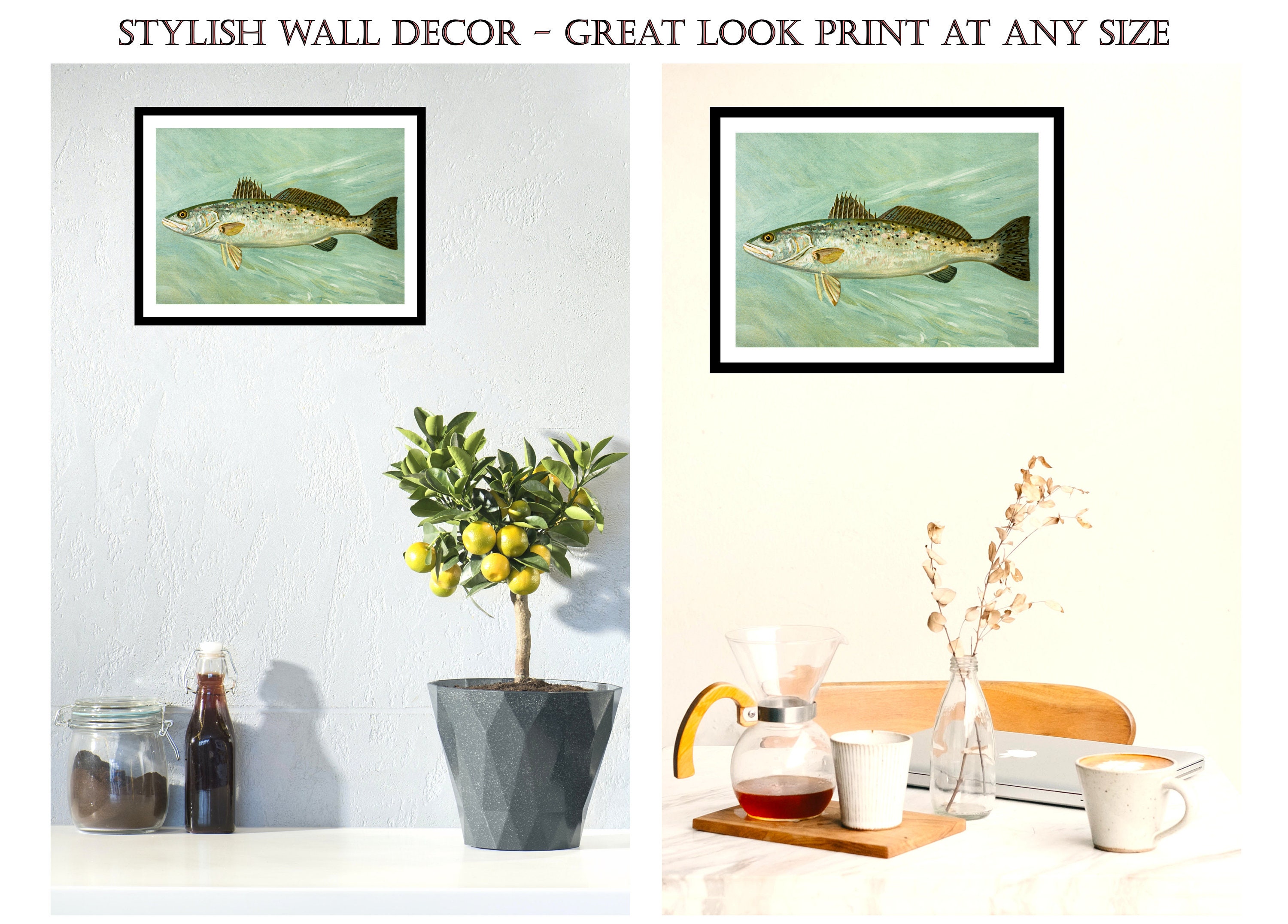 Kitchen Art Print Fish Ocean Sea Animals Vintage Poster - Etsy
