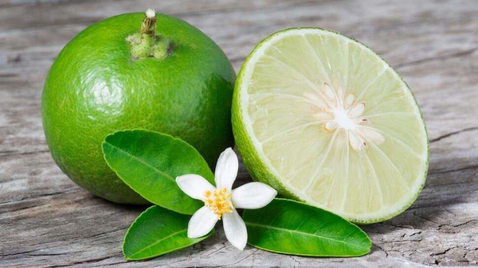 25 2.000 FRESH SEEDS ORGANIC Citrus Aurantifolia | Etsy