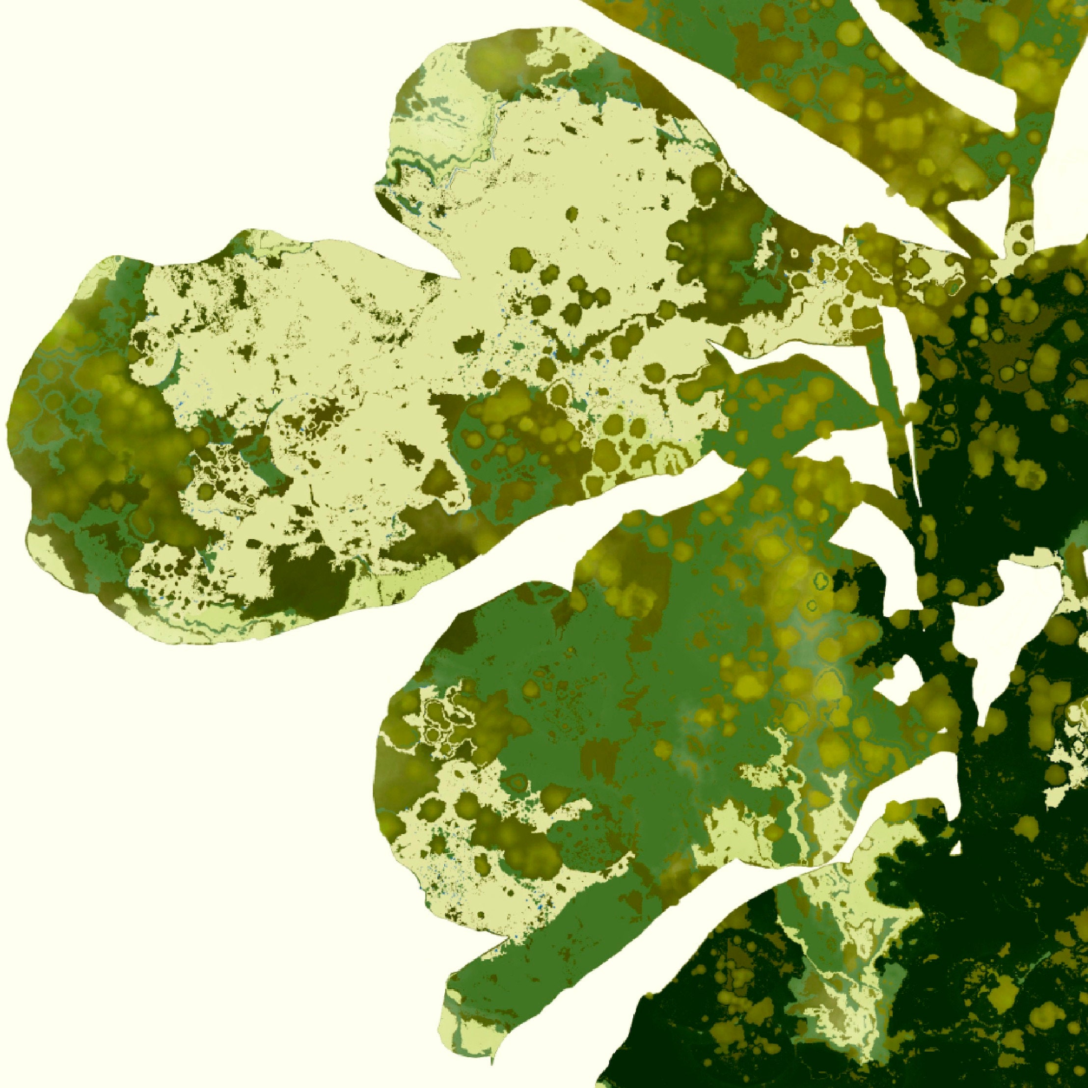 Abstract Green Fiddle Leaf Fig Tree Print - Etsy
